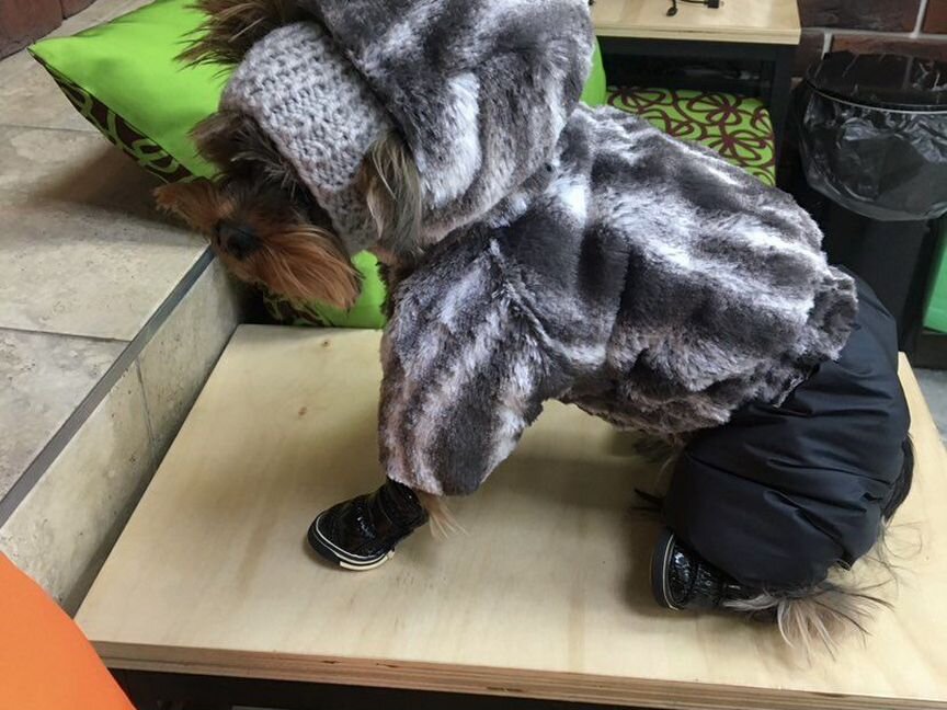 Комбинезон-шуба для собак