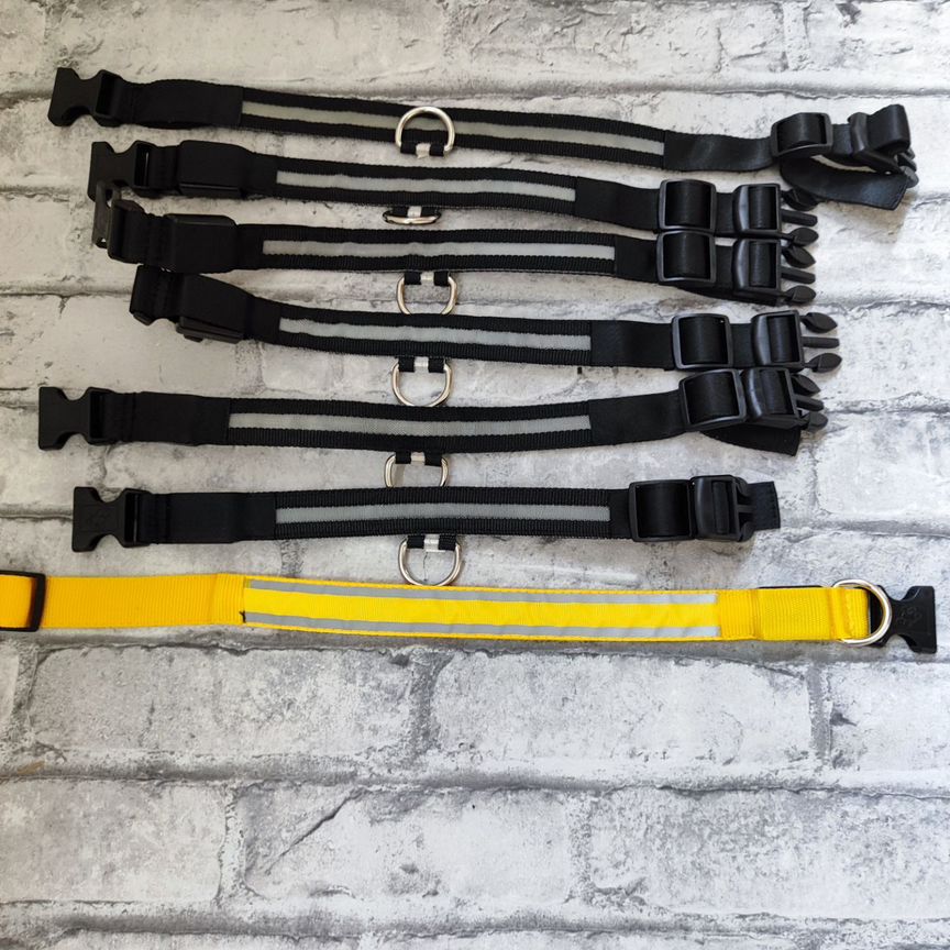 Ошейники для собак светящиеся