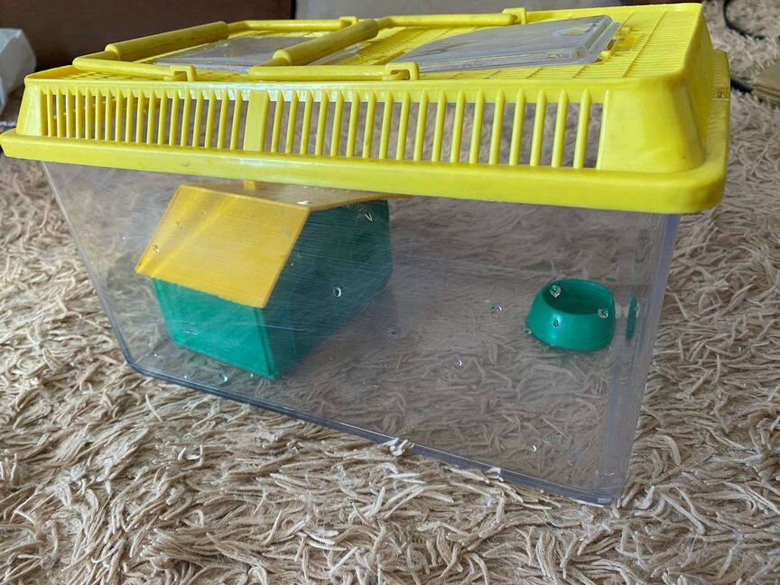 Террариум клетка-аквариум