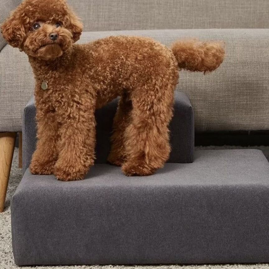 Лестница для собак