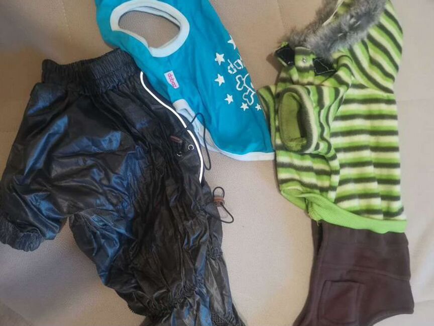 Одежда для собак мелких пород