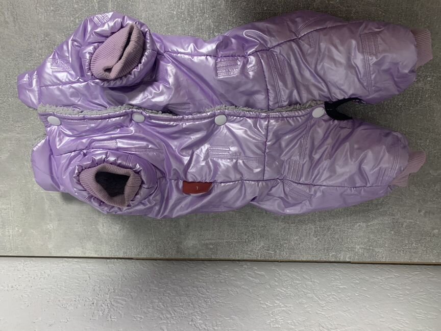 Одежда для средних собак