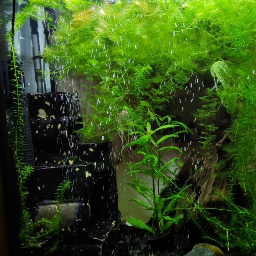 Замок грот для аквариума керамический