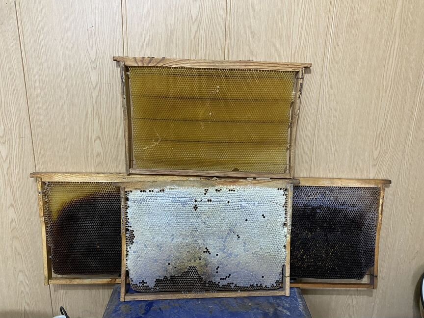 Сушь для пчел