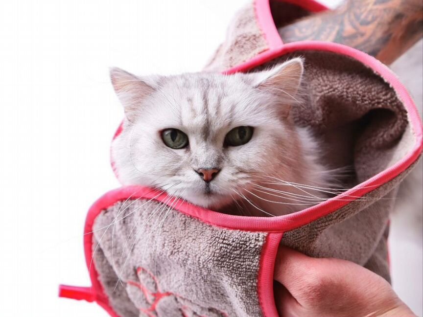 Полотенце для животных