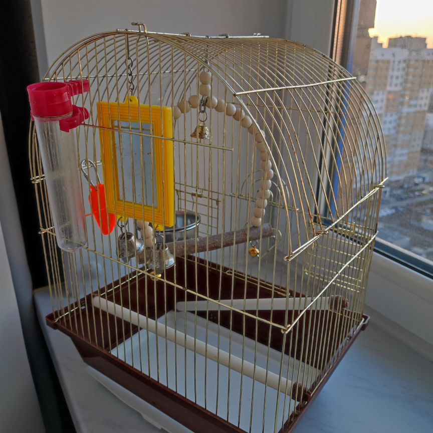 Клетка для попугая со всем необходимым