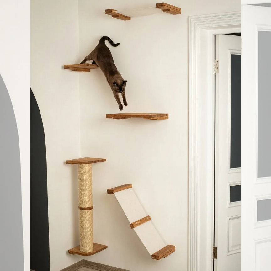 Когтеточка и настенный комплекс для кошек из дуба