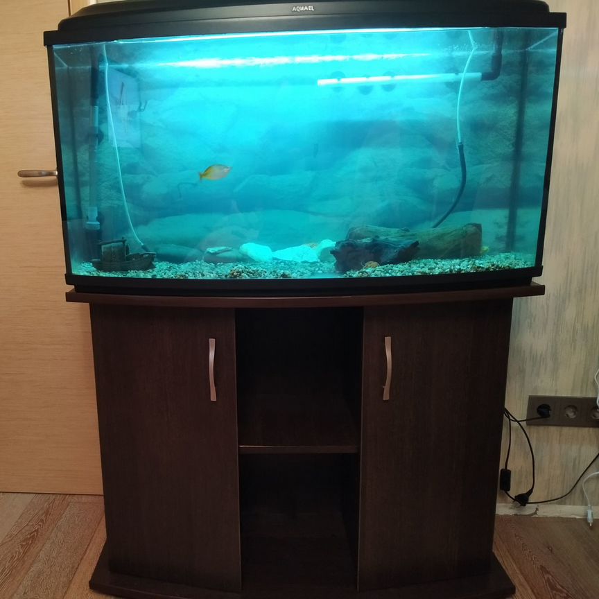 Аквариум