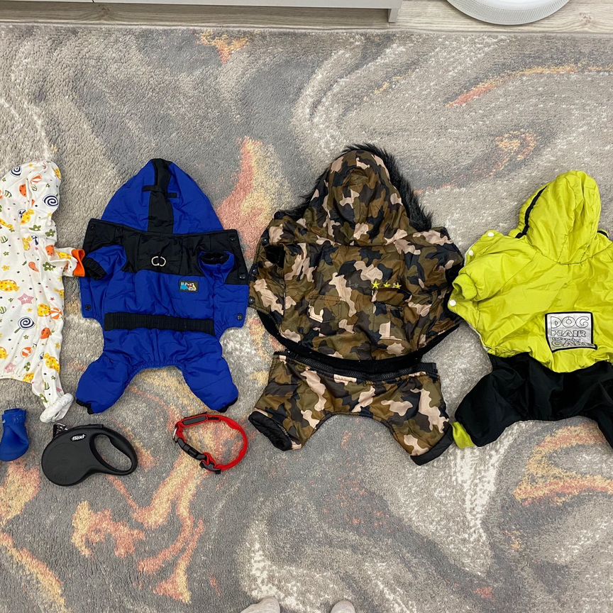 Вещи для собак мелких пород