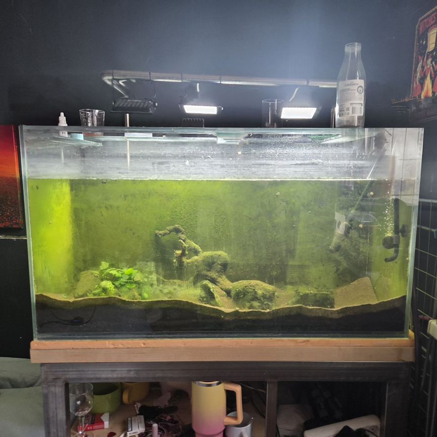 Аквариум в дар