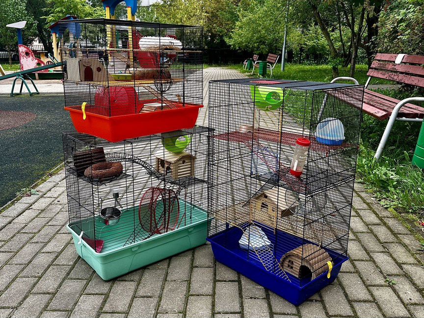 Клетка для крыс дегу хомяков грызунов