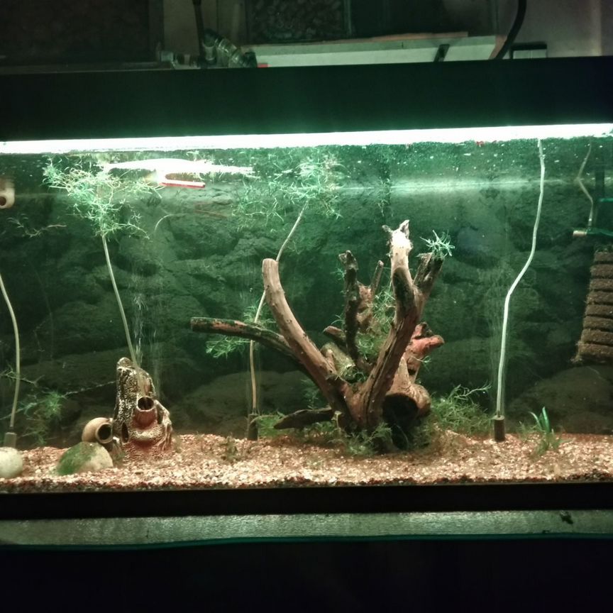 Аквариум с тумбой бу