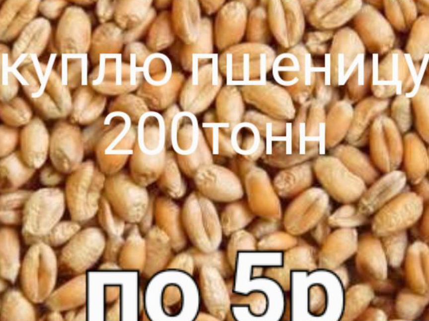 Сельское хозяйство