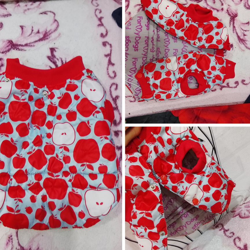 Одежда для маленьких собак