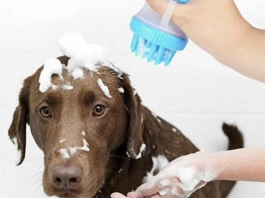 Щетка для животных