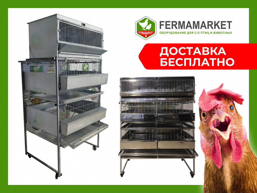 Клетки бройлеров, кур-несушек Таруса