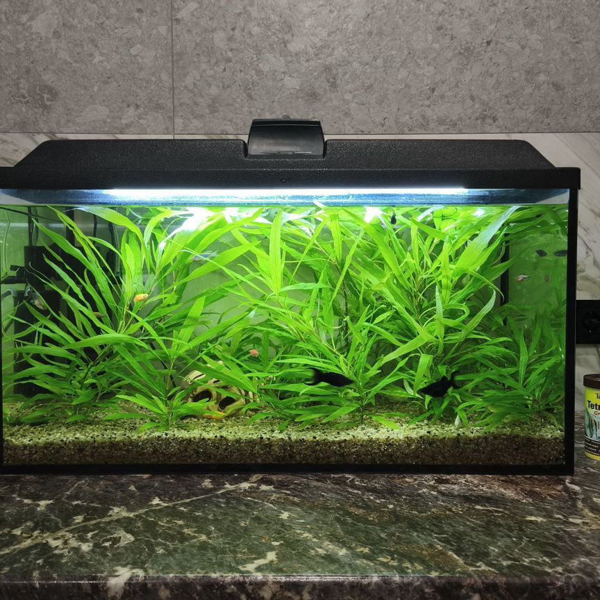 Украшения для аквариума