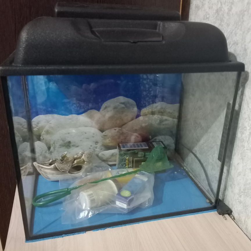 Аквариум