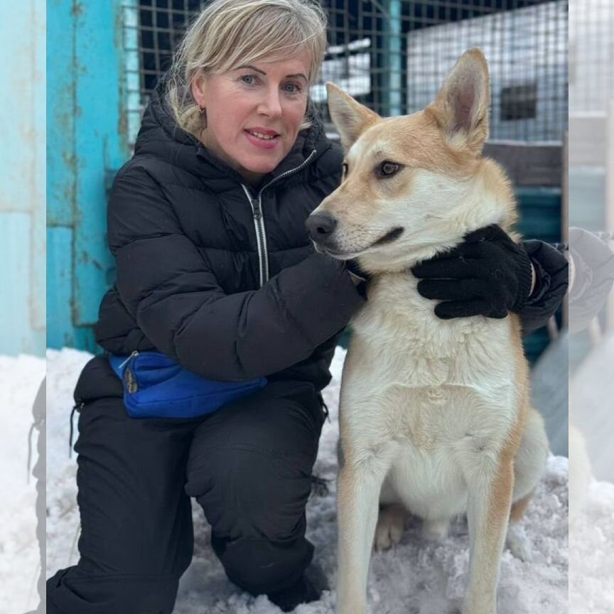 Молодой, активный Вихрь в добрые руки