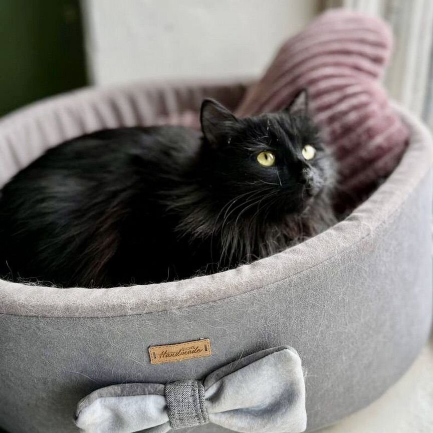 Мелисса ищет дом