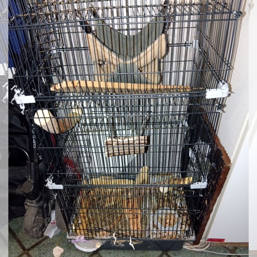Клетка для животных бу