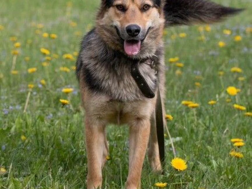 Невероятный Аксай ждёт вас в Лесном приюте