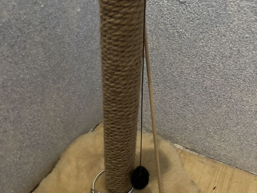 Кошачий набор