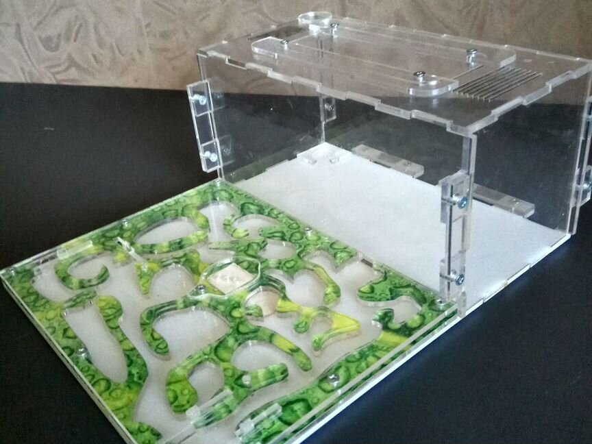 Муравьиная ферма