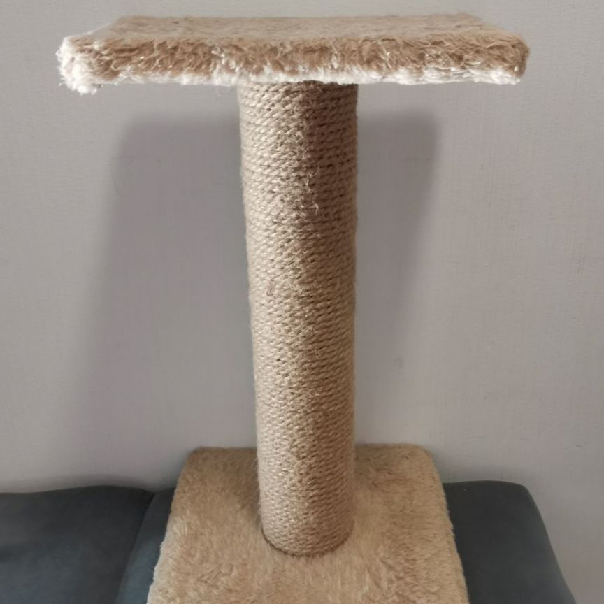 Когтеточка