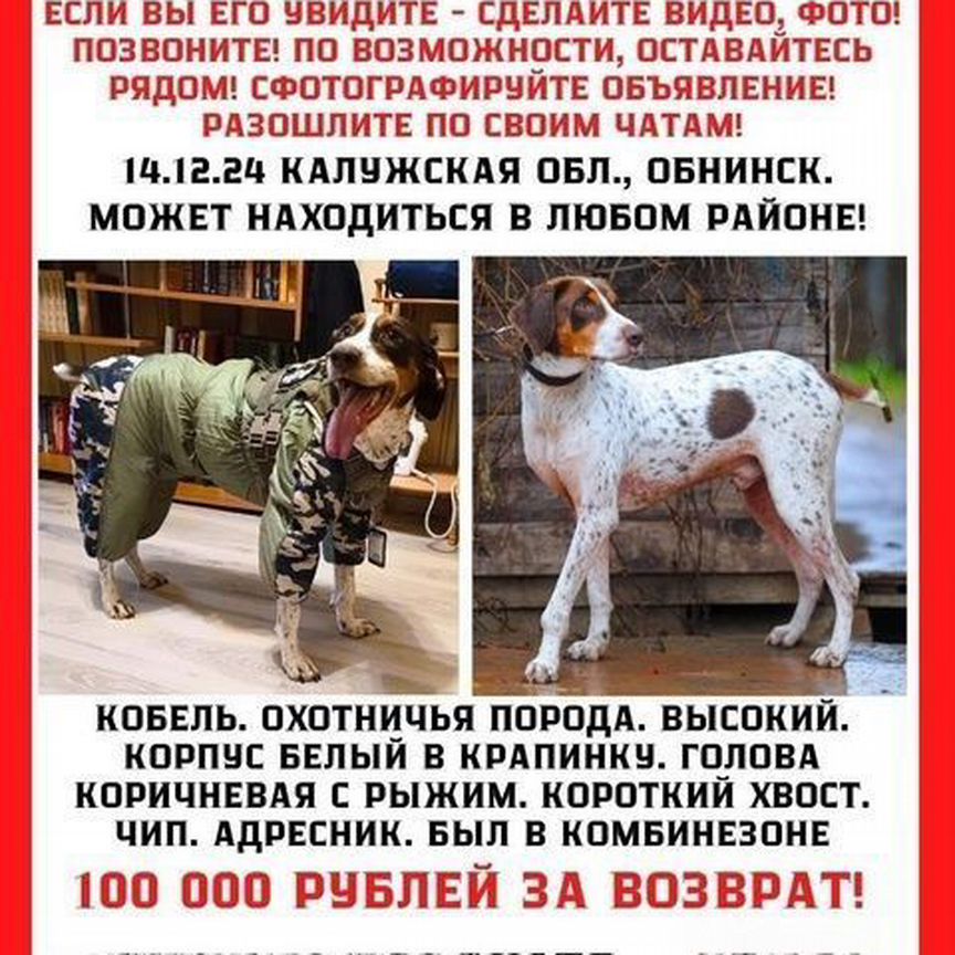 Курцхаар