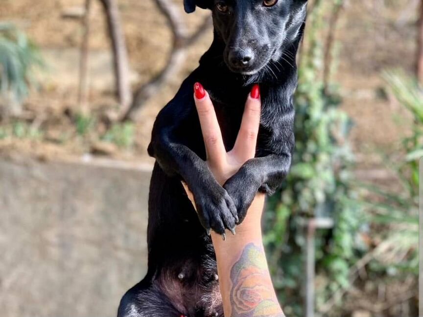 Малютка Зита, 4 года