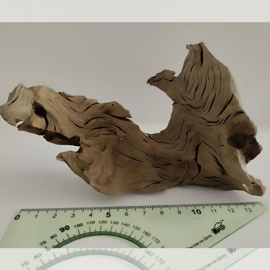 Коряга мангровая