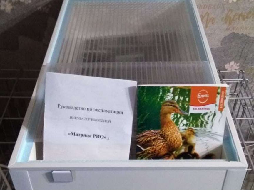 Выводной инкубатор матрица rio