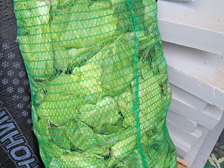 Пищевые отходы для животных