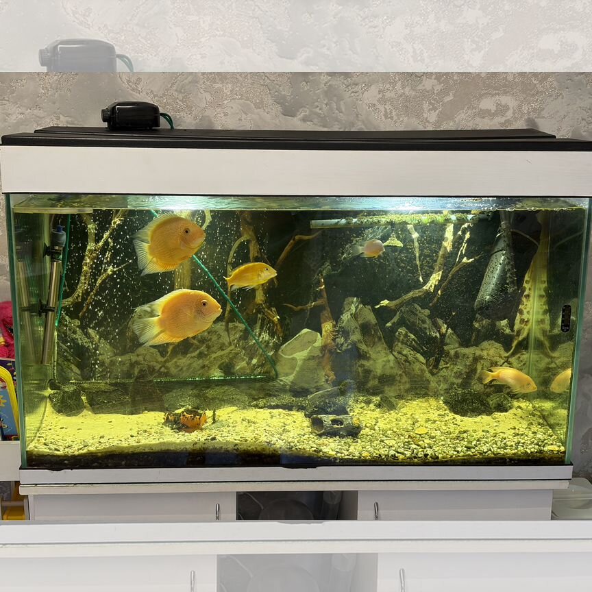 Аквариум с тумбой 250