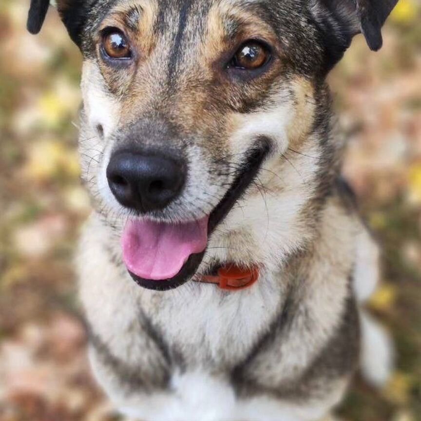 Весельчак Чаплин