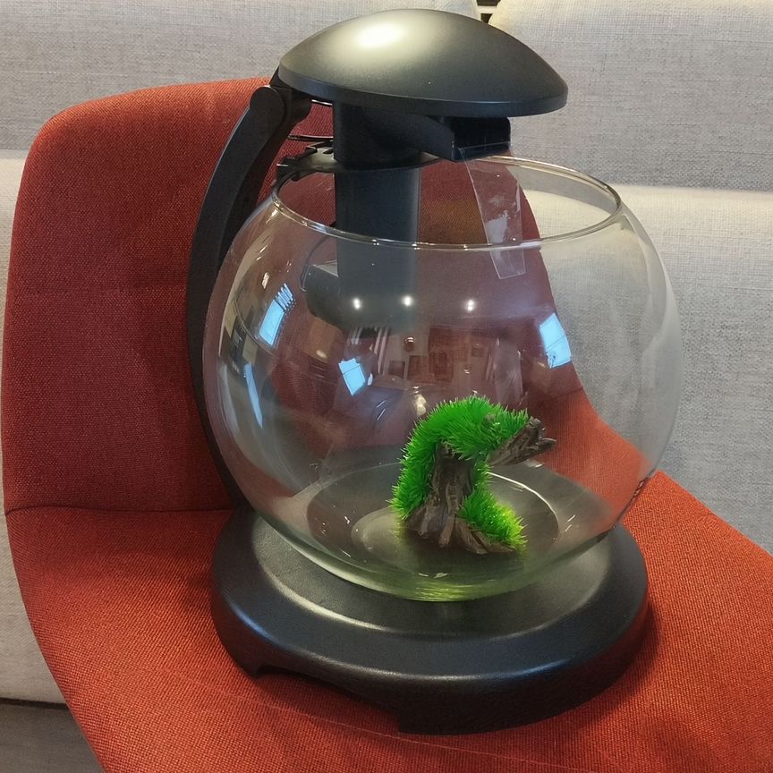 Аквариум для рыбки петушка tetra