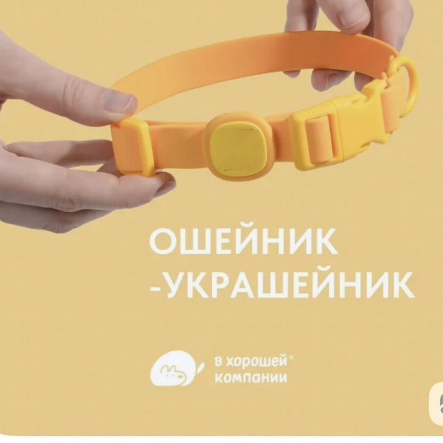 Ошейник in a good company s сиреневый и желтый