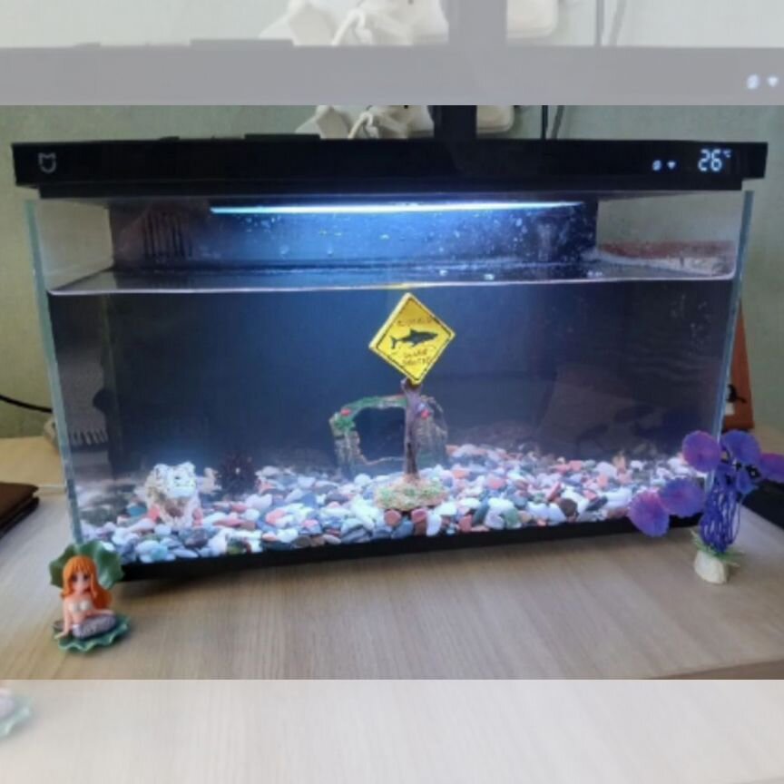 Умный аквариум