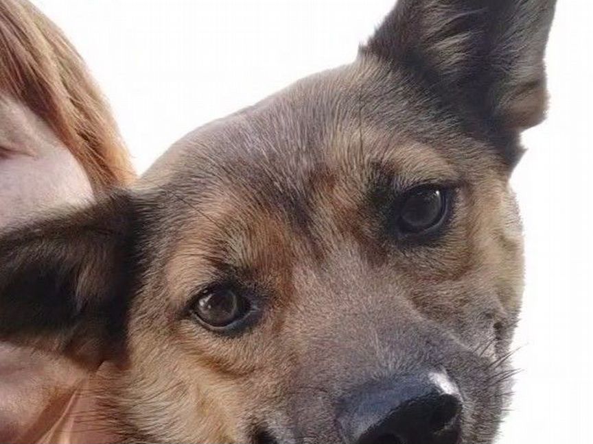 Маленькая девочка, очень скромная