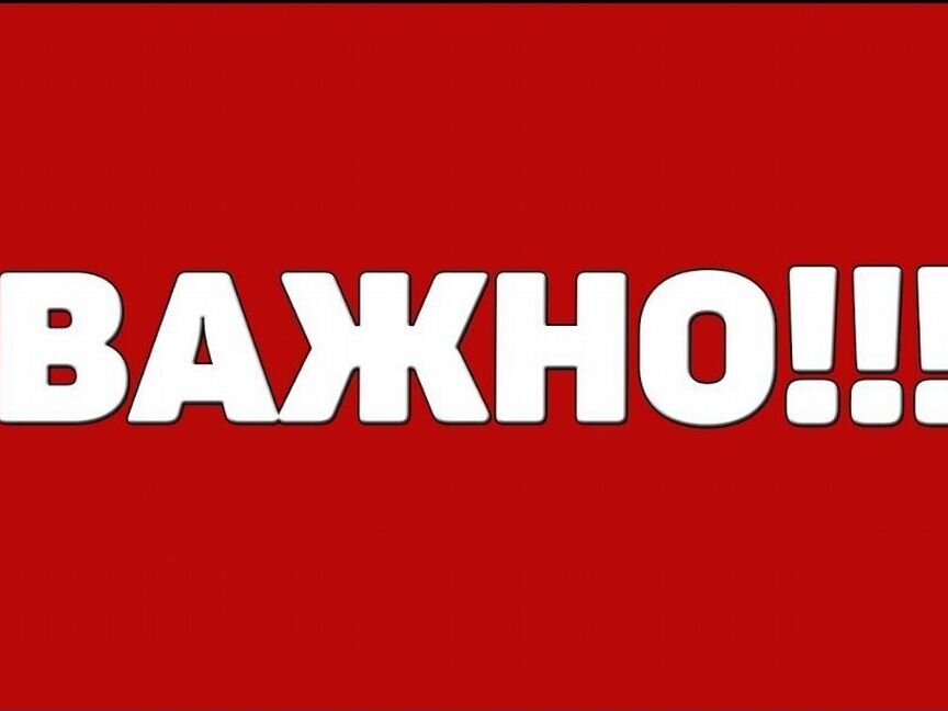 Продаются щенки