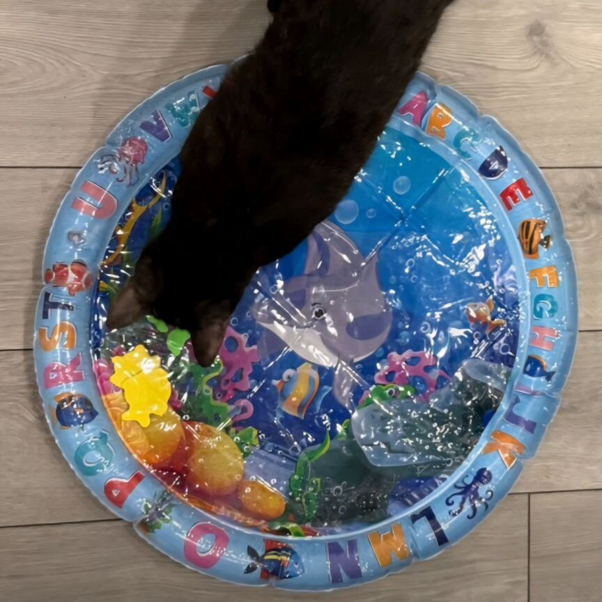 Коврик водный для кота