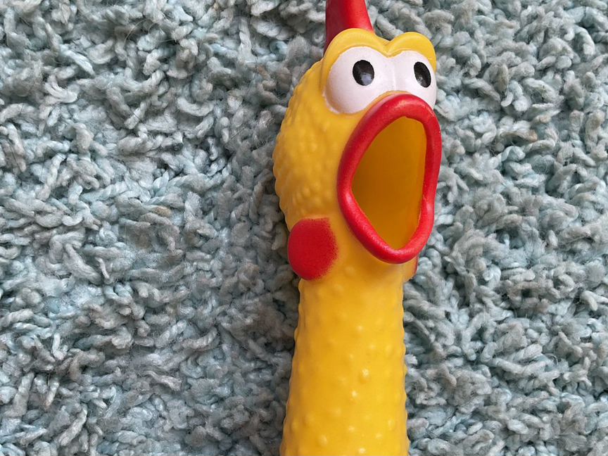 Орущая резиновая курица