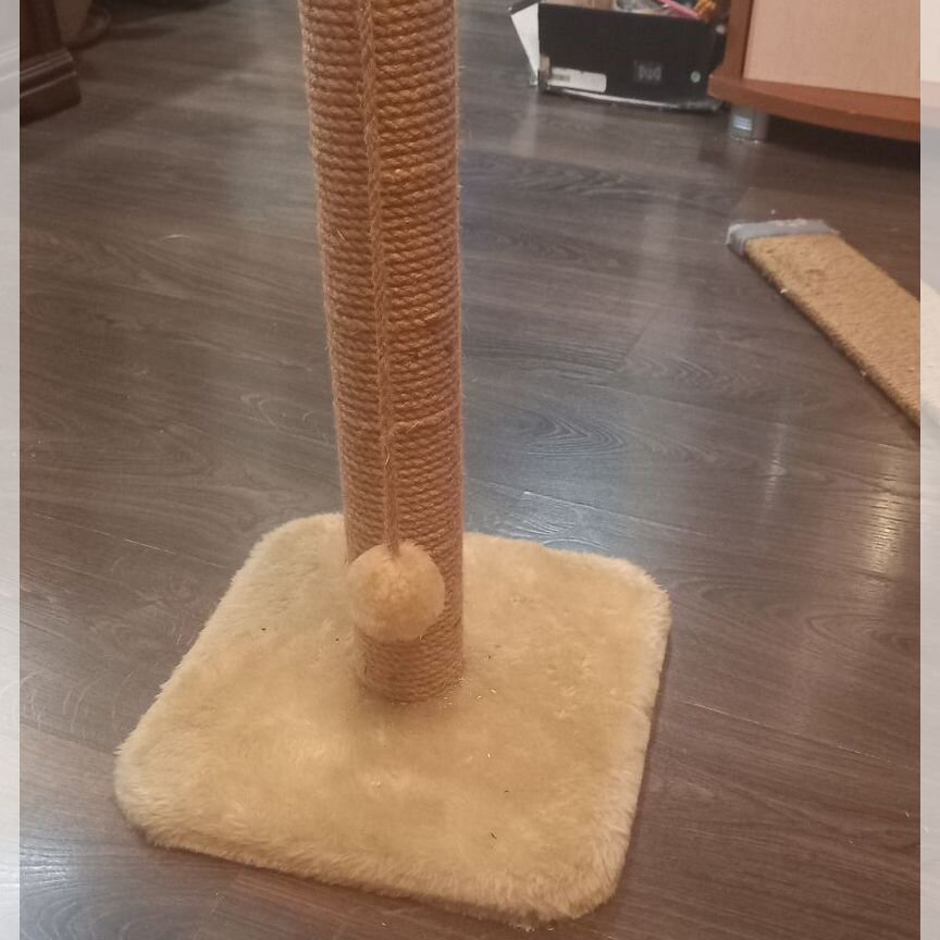 Когтеточка