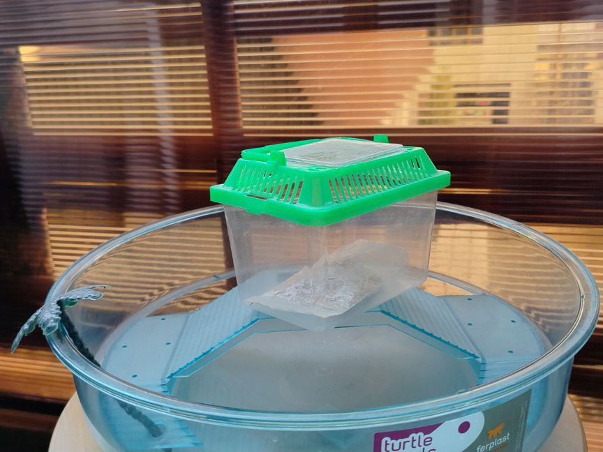 Аквариум-бассейн для краснухой черепашки