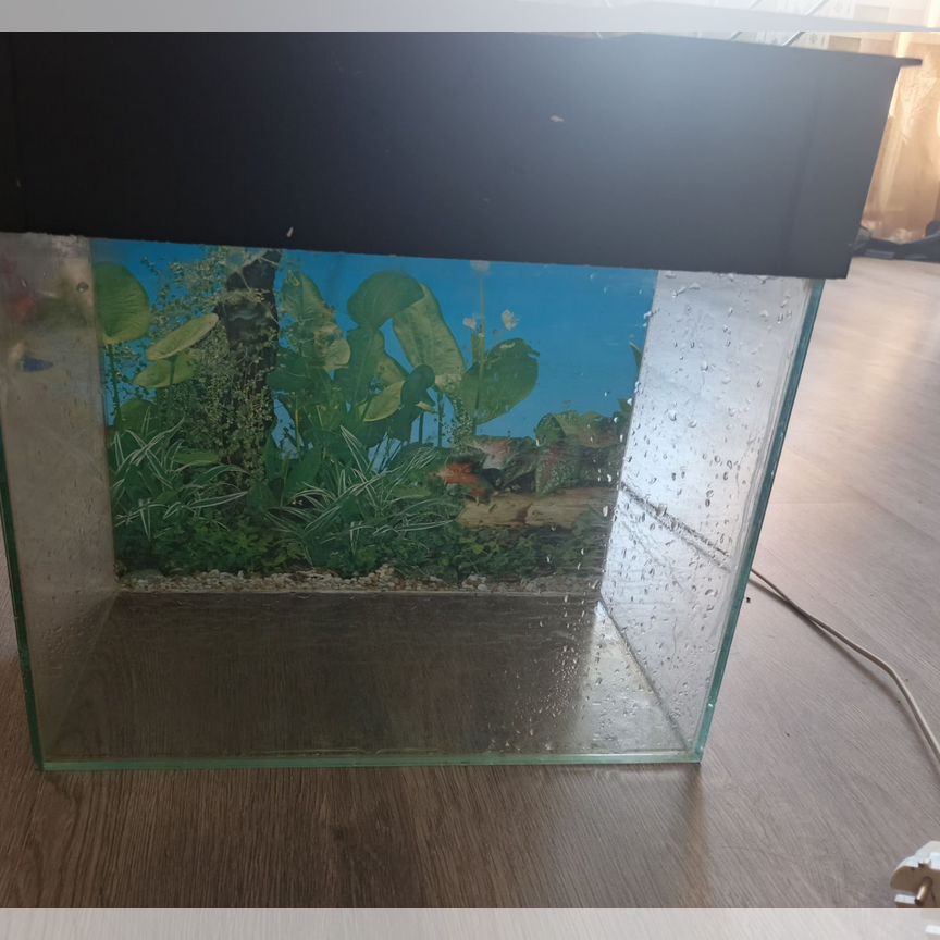 Продам аквариум 20 л