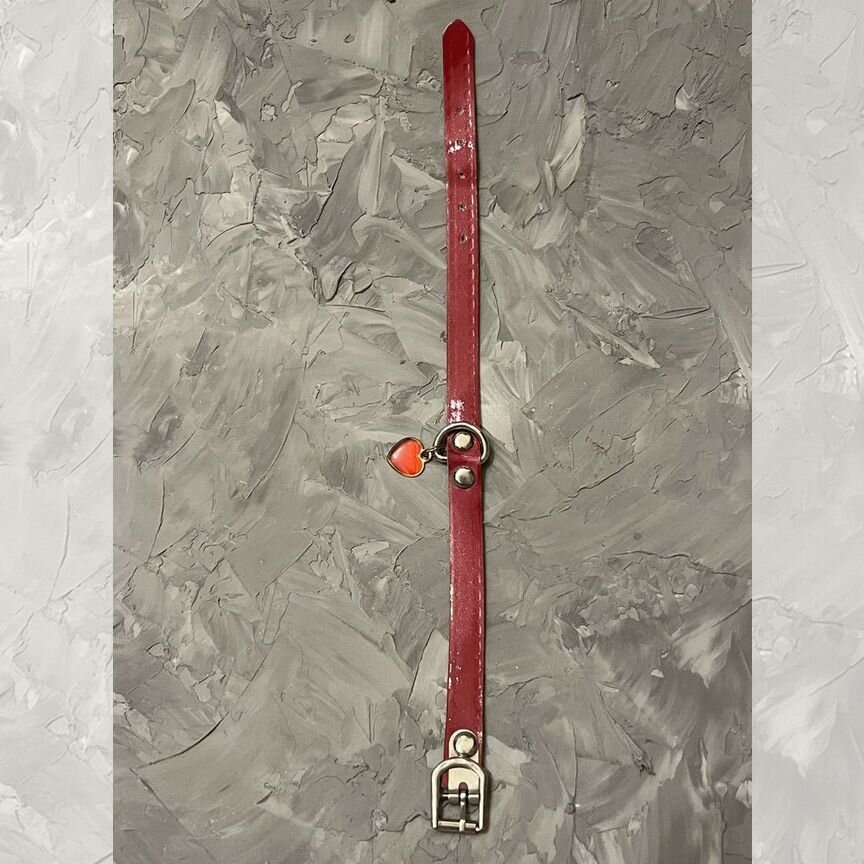 Ошейник для собаки/ для кошки