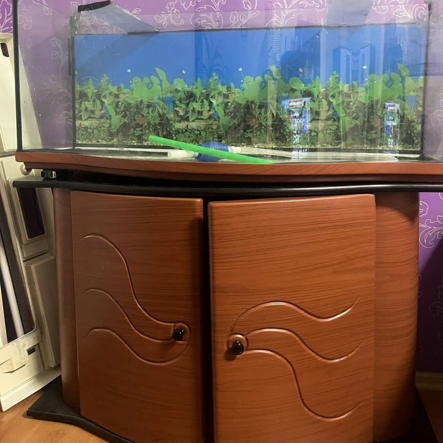Аквариум с тумбой 240 литров
