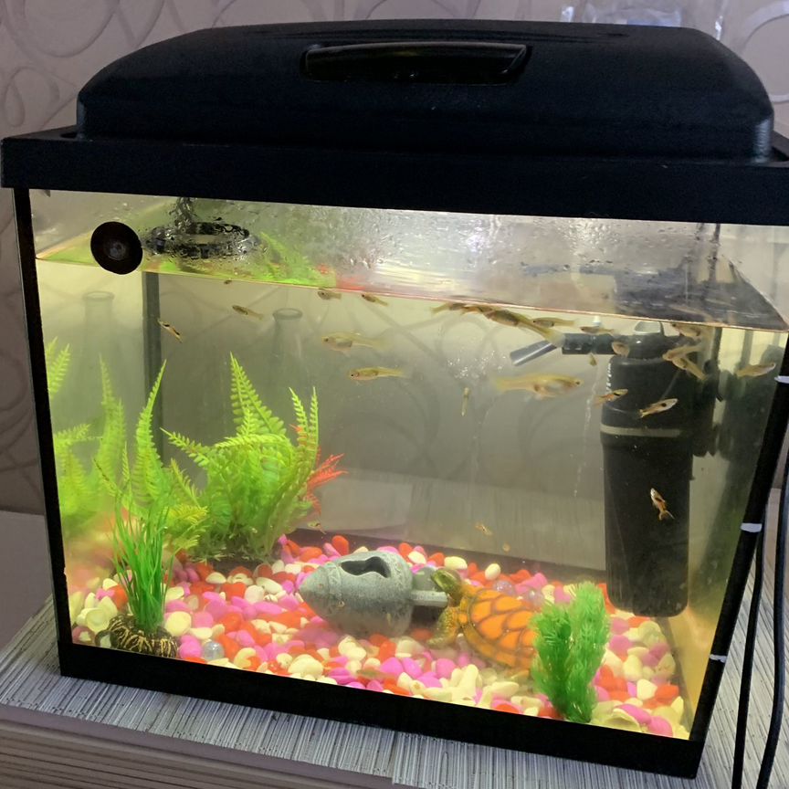 Аквариум с рыбками