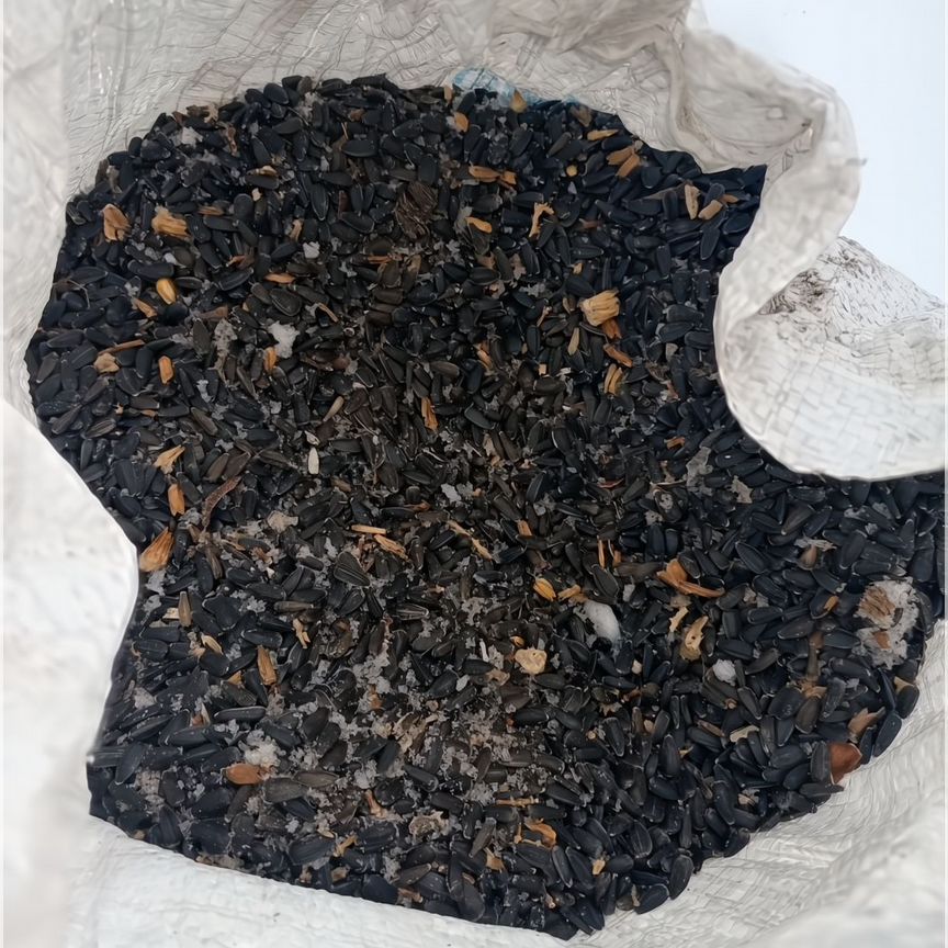 Семечки на корм не сортированная